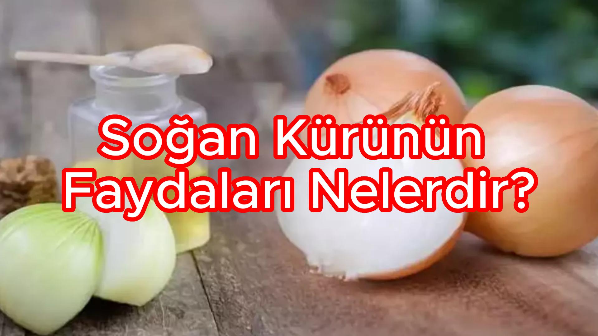 Soğan Kürünün Faydaları Nelerdir? - SimliFar